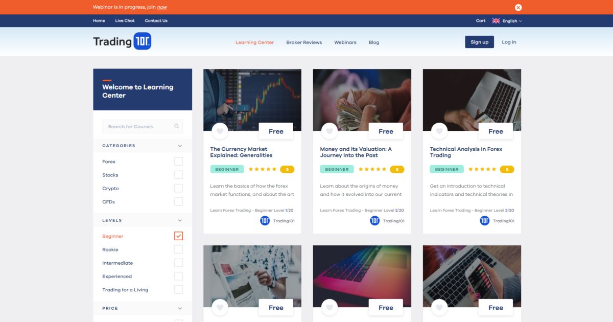 Trading 101 | Learn Forex Trading: Beginners Level